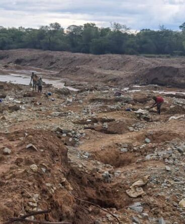 Zimbabwe Breaking News - News Hub Zimbabwe